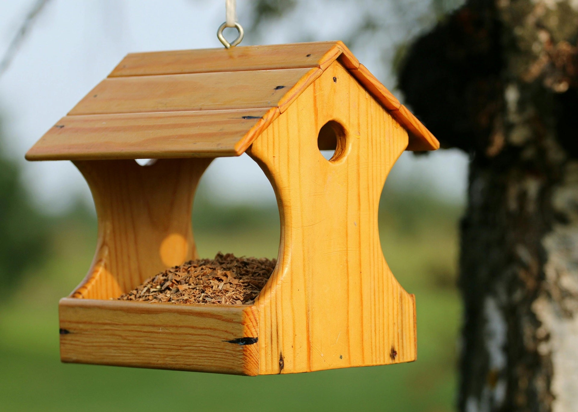 Buy Premium Seeds Online – Newton Seed (a division of Village Green Seed)