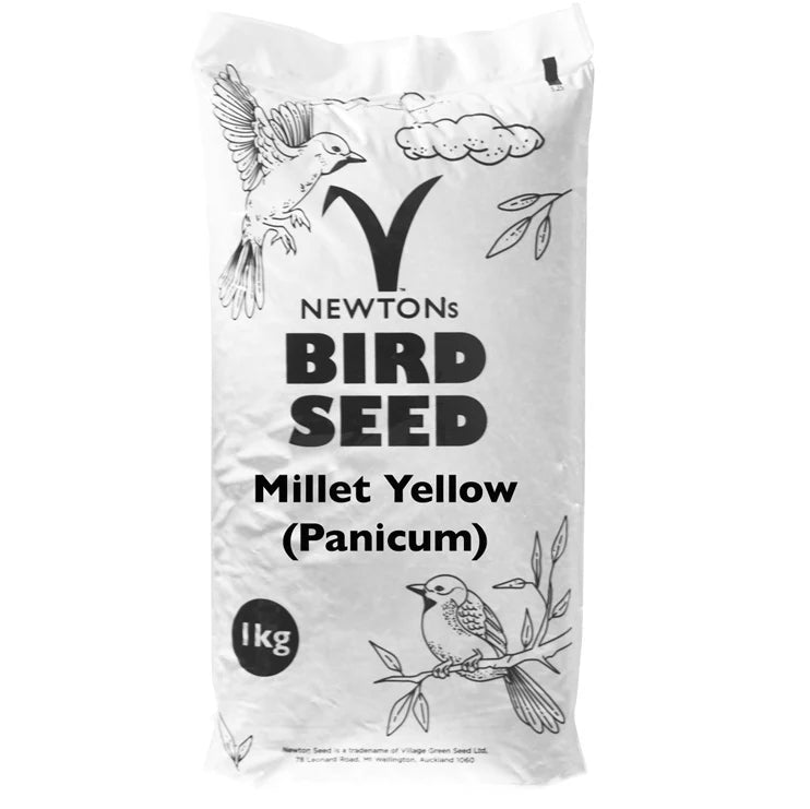 Panicum – Newton Seed (a division of Village Green Seed)