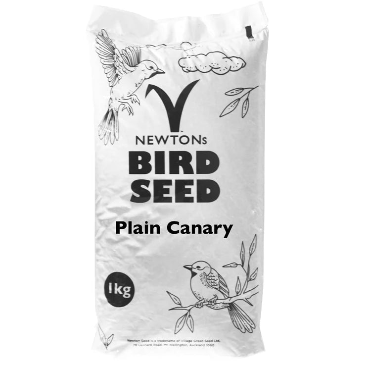Plain Canary – Newton Seed (a division of Village Green Seed)