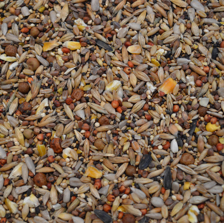 Buy Premium Seeds Online – Newton Seed NZ